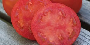 A Guide to Growing Seedless Tomatoes - Open Grower